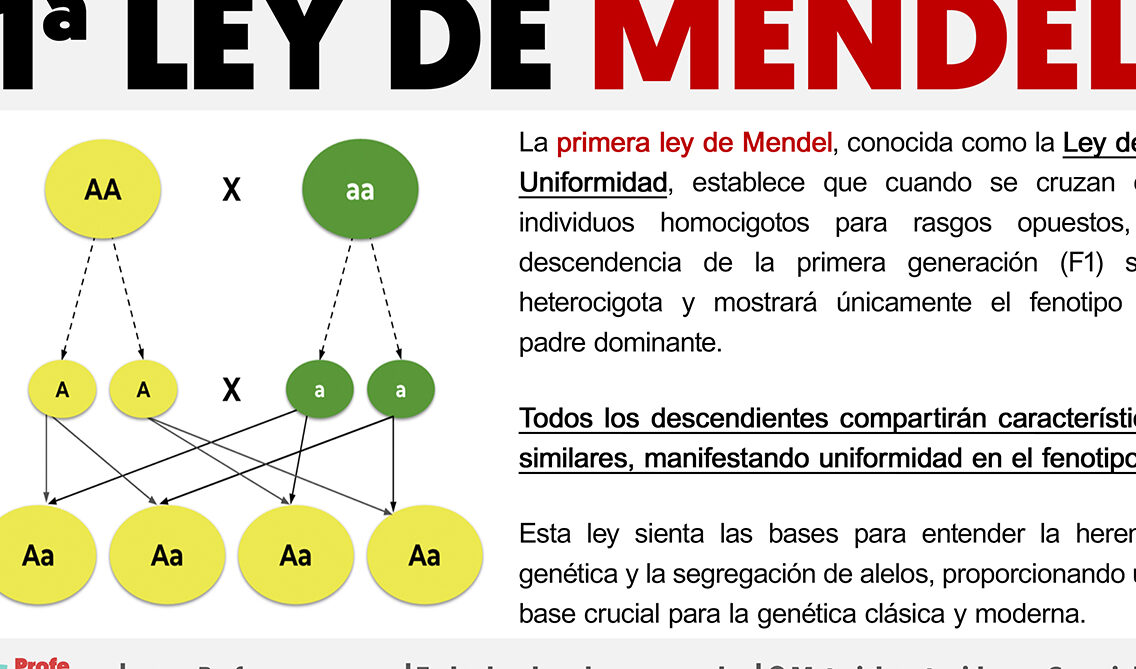 Primera Ley de Mendel: Fundamentos de la Herencia Descifrados - Guias ...